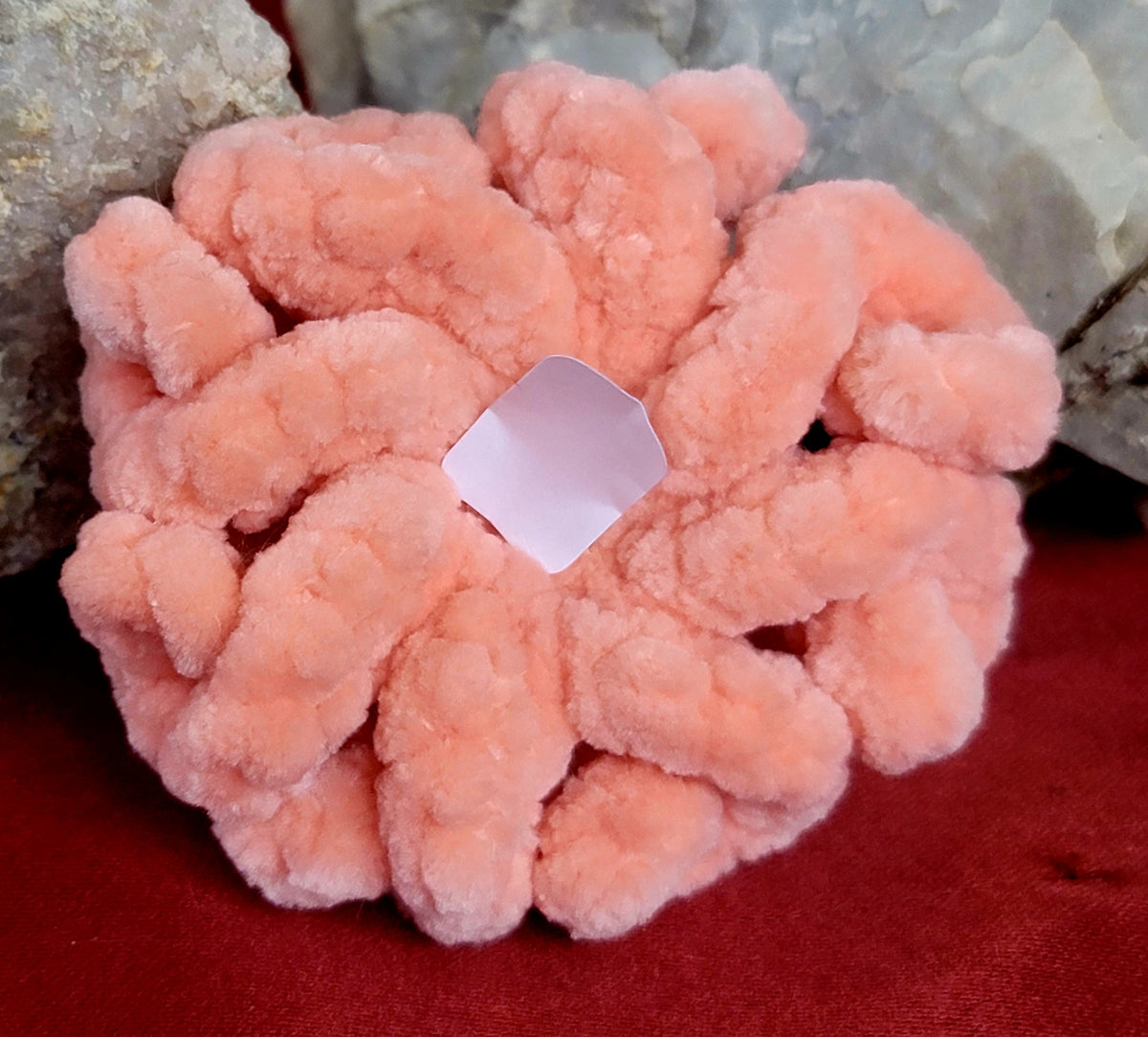 Coral - Plush Octobaby 🦑 🐙 🪸 – Erika's Classy Crystals