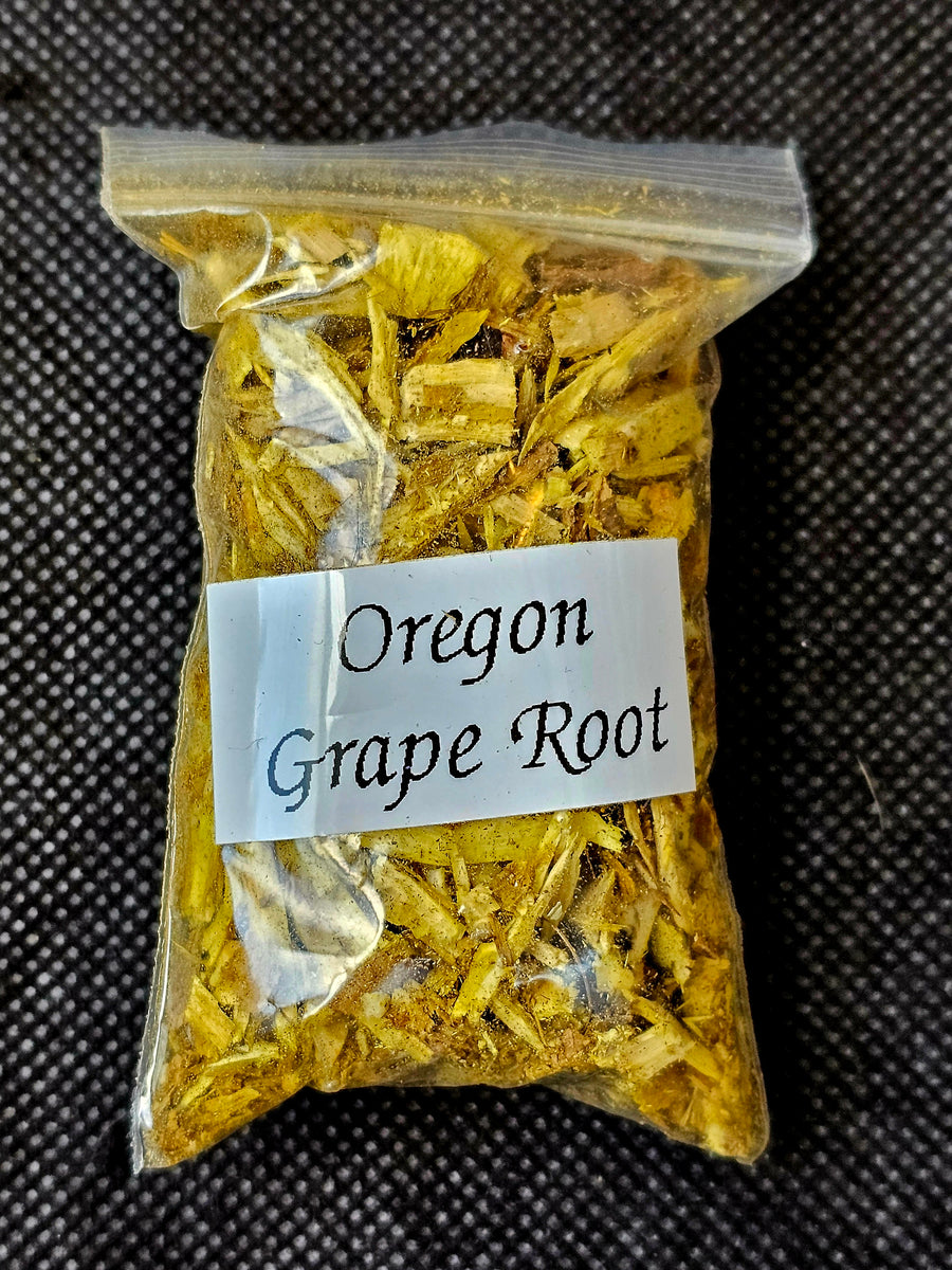 Fresh Cut Organic Oregon Grape Root Herb 🫚🌿 – Erika's Classy Crystals