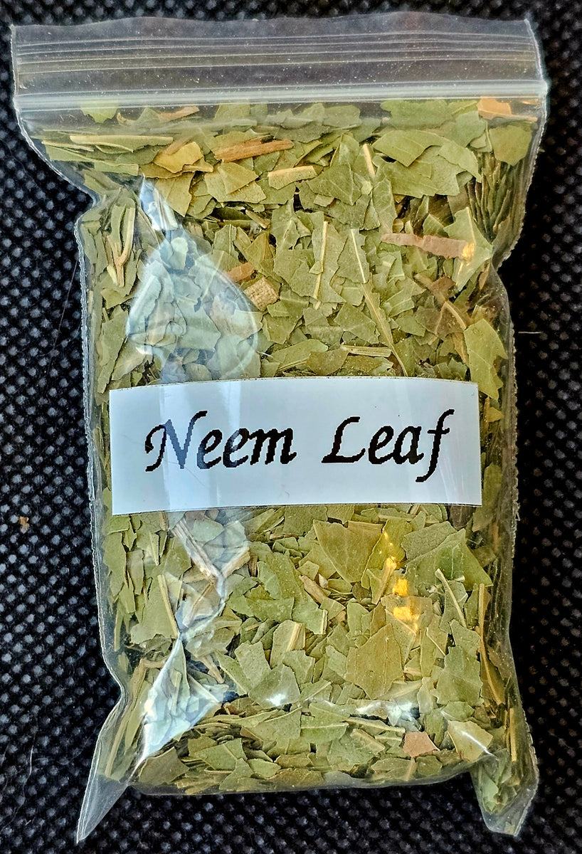 Fresh Cut Organic Neem Leaf 🌿 – Erika's Classy Crystals