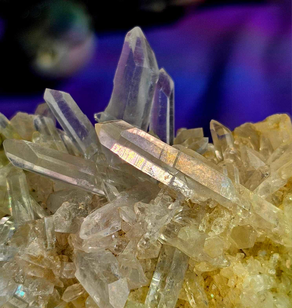 XL Raw Clear Quartz Cluster 💎💠🤯 – Erika's Classy Crystals