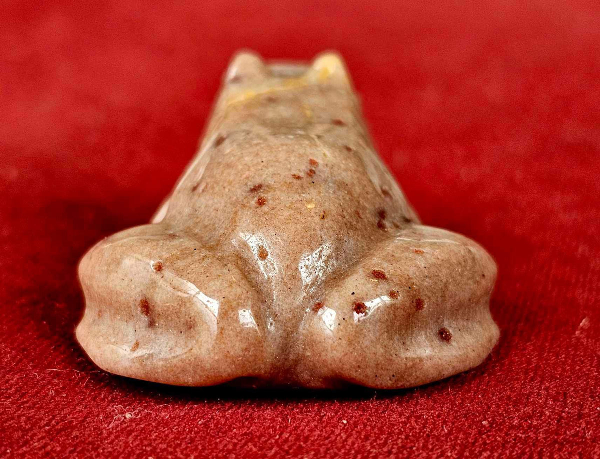 Ocean Jasper Crystal Frog Figurine 🐸 🪸🌊 – Erika's Classy Crystals