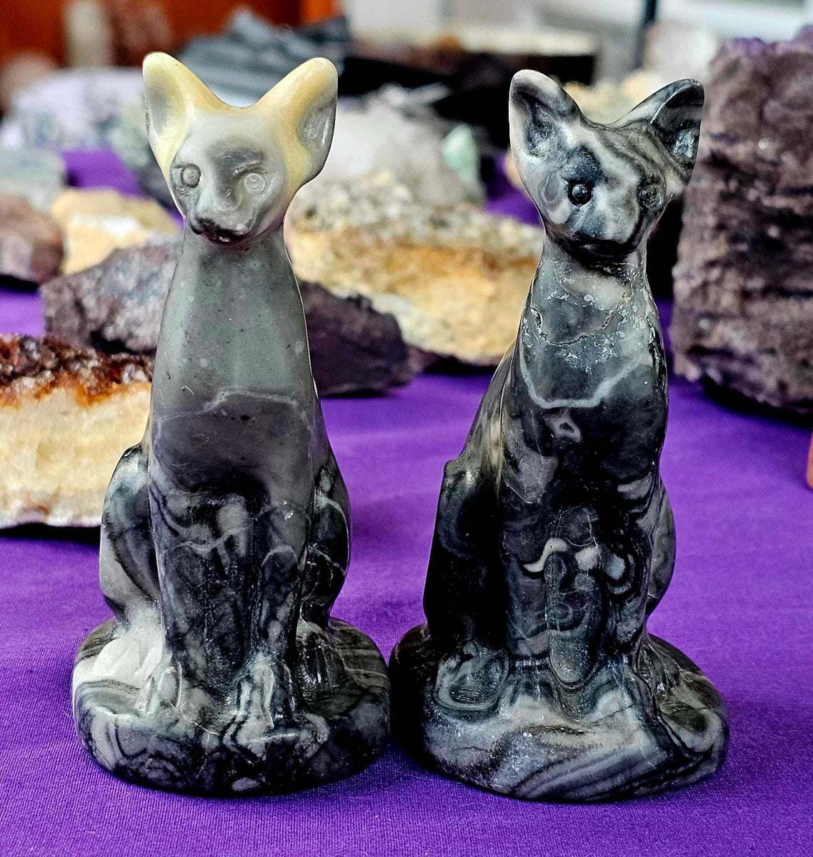Shell Jasper Sphynx Cat Statue 🐚🐈‍⬛ – Erika's Classy Crystals